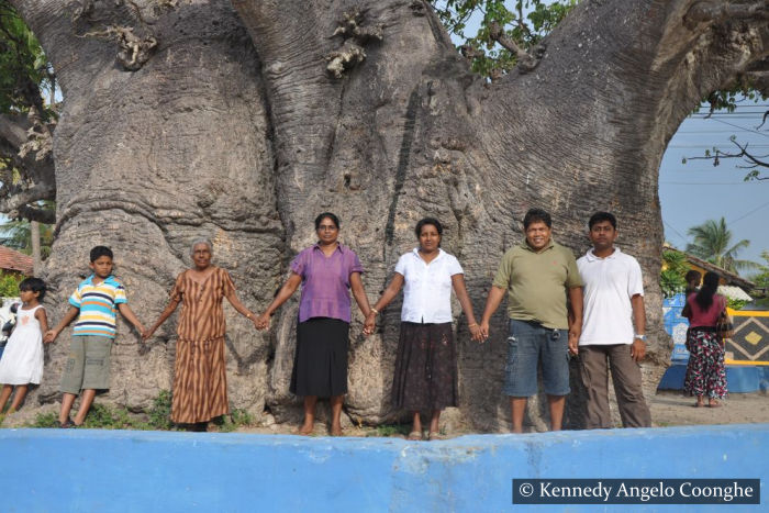 Birding Tour to Vankalai Mannar - 2 Days Excursion - Cross Country ...